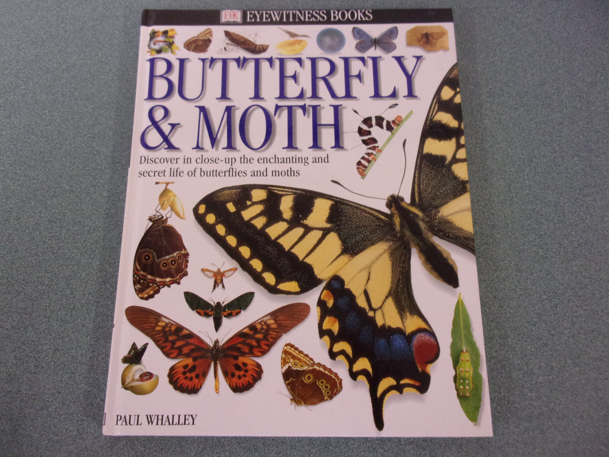 DK Eyewitness Books: Butterfly & Moth (HC) – Friends of the St Mary's ...