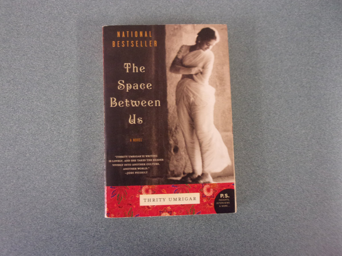 The Space Between Us by Thrity Umrigar (Paperback) – Friends of the St ...